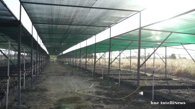 bne IntelliNews - Zimbabwe's oil infrastructure company NOIC finishes ...