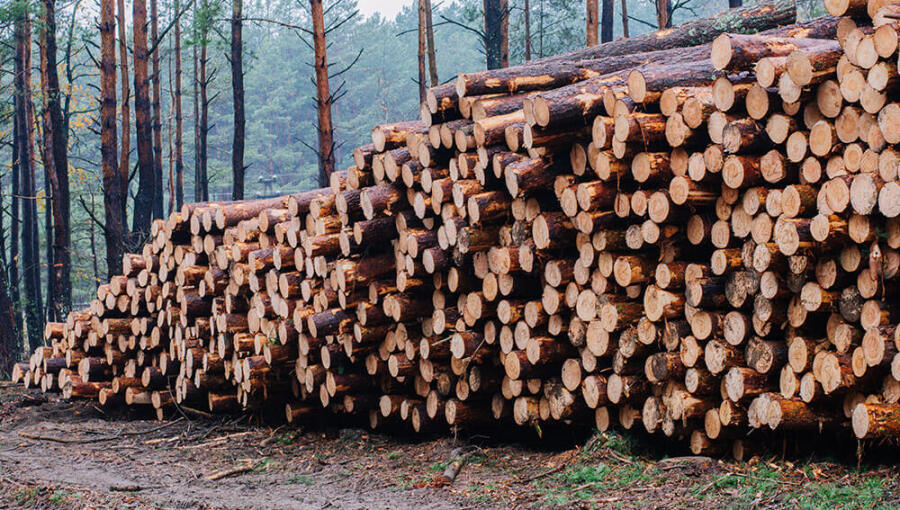 bne IntelliNews - Belarus’ government looks for ways boost its domestic ...