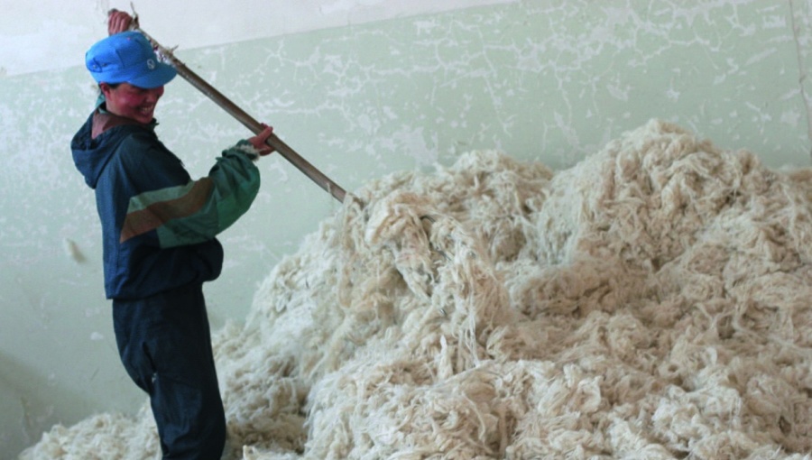 bne IntelliNews - IMF says Mongolia’s livestock industry faces climate ...