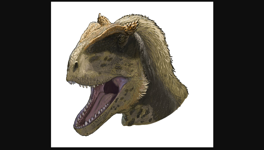 bne IntelliNews - Strange species of dinosaur with freaky eyebrows ...