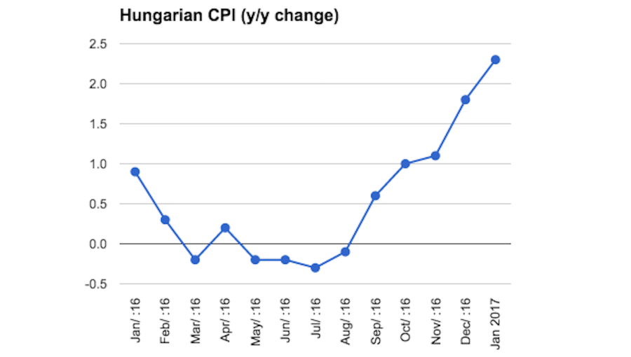 bne IntelliNews - Hungarian inflation continues acceleration in January