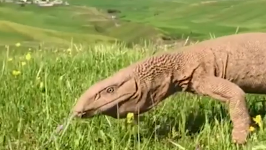 bne IntelliNews - Mysterious predator dubbed “Goat Sucker” causes panic ...