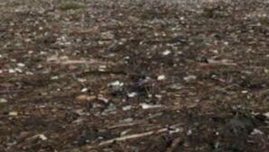 bne IntelliNews - bneGREEN: River of waste clogs Serbia’s Lake Potpec ...