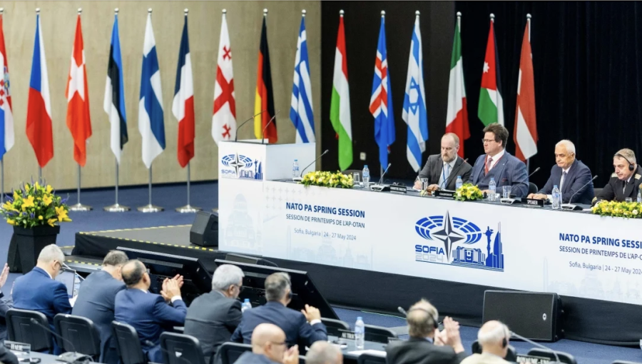 bne IntelliNews - Nato Parliamentary Assembly votes to advance Kosovo's ...