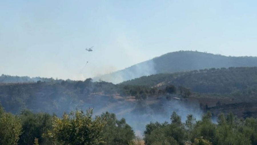 bne IntelliNews - Albania steps up emergency measures as wildfires ...