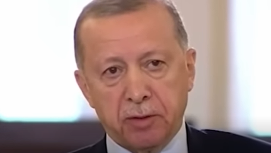 bne IntelliNews - Erdogan cancels election appearances after falling ...