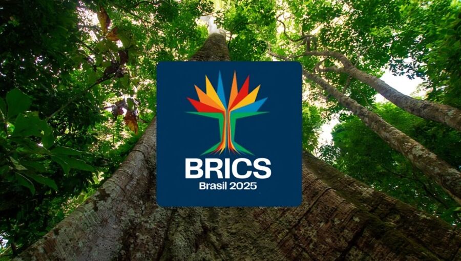 bne IntelliNews - COMMENT: The long road to a BRICS-led world order ...