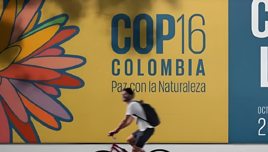 bne IntelliNews - Colombia hosts COP16 summit as nations tackle ...